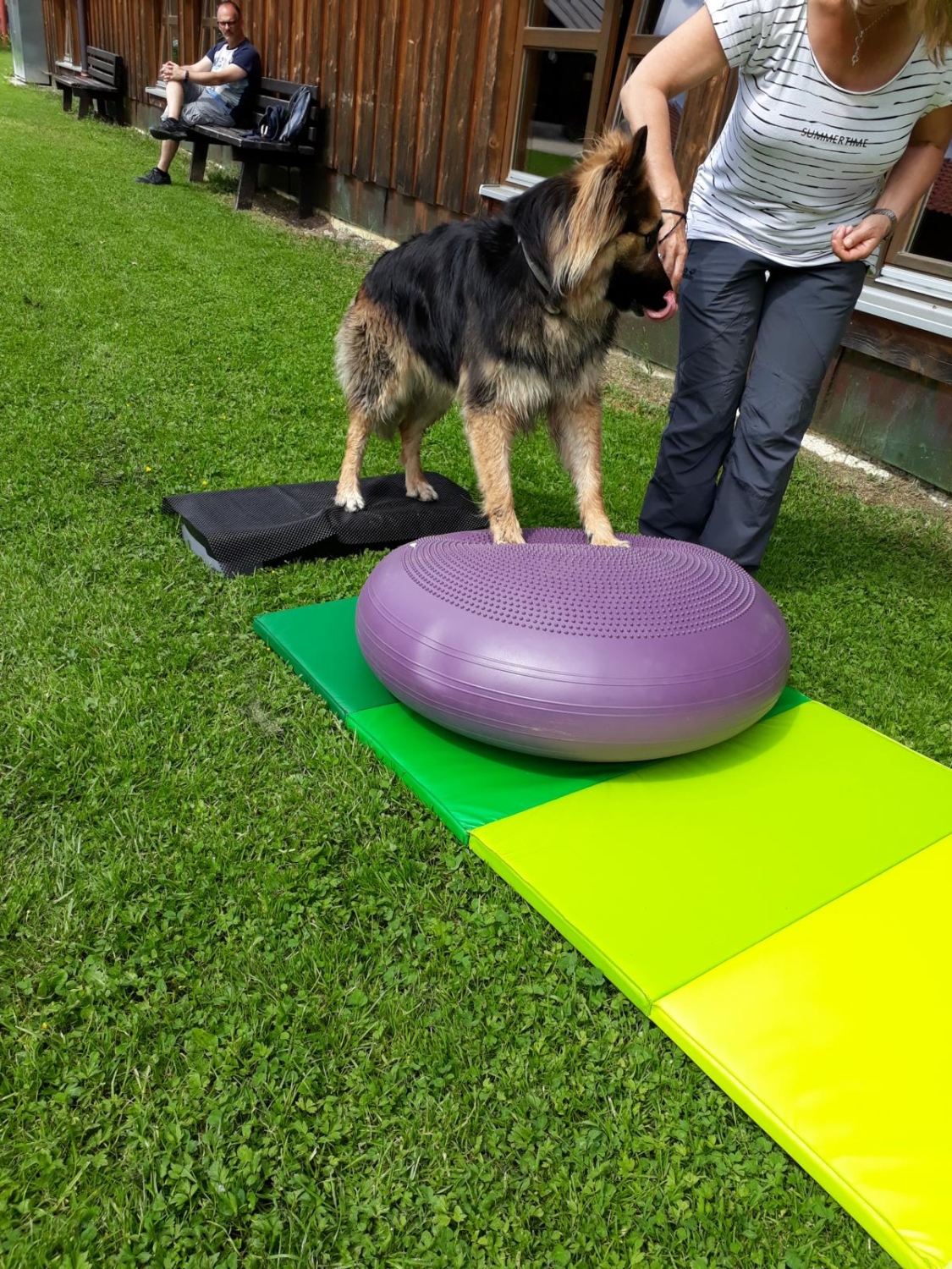 Hundeturnen - Hund und Mensch in Balance